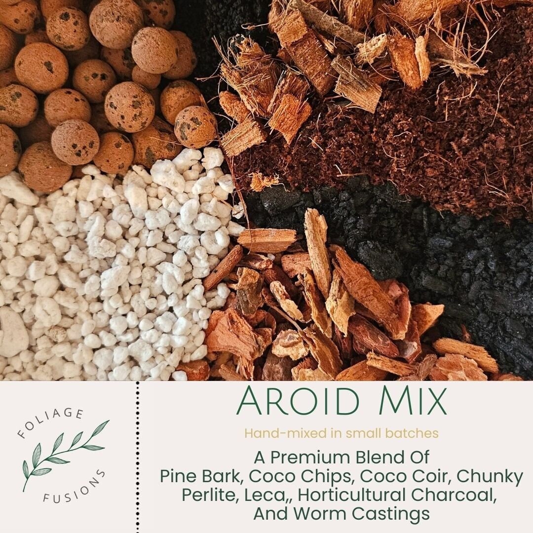Aroid Mix 12 Cups - a Premium Potting Mix for Philodendron, Monstera ...