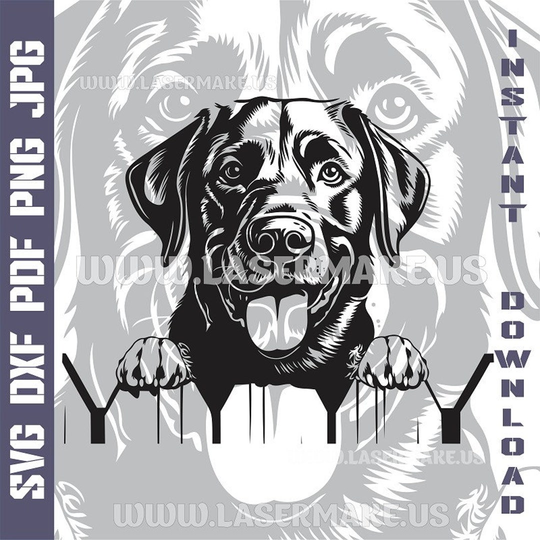 Labrador Retriever SVG File | Cut File for Cricut | Printable Png| SVG ...