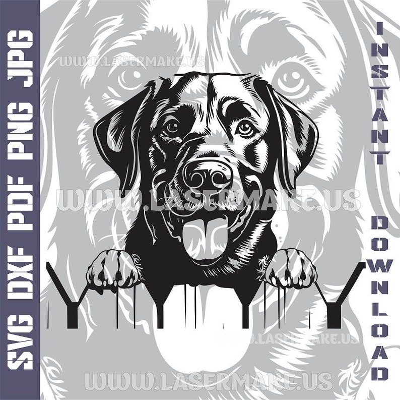 Labrador Retriever SVG File | Cut File for Cricut | Printable Png| SVG ...