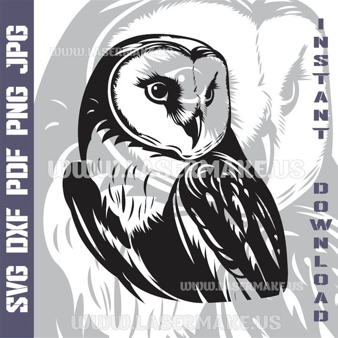 Barn Owl SVG File | Cut File for Cricut | Printable Png| SVG Dxf Cut ...