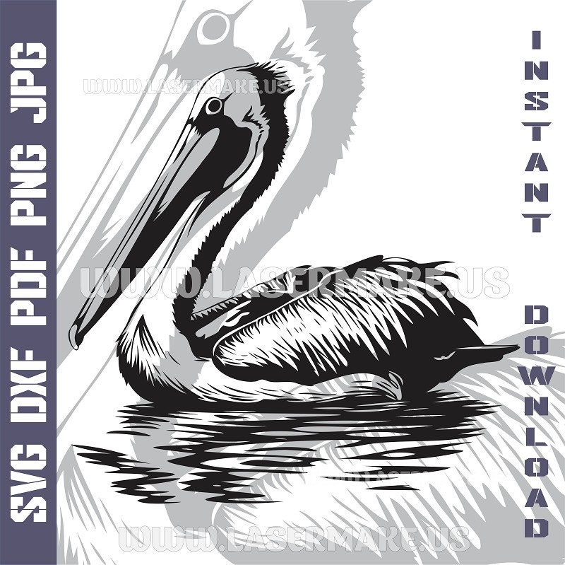 Pelican SVG File Cut File for Cricut Printable Png SVG Dxf Cut Files ...