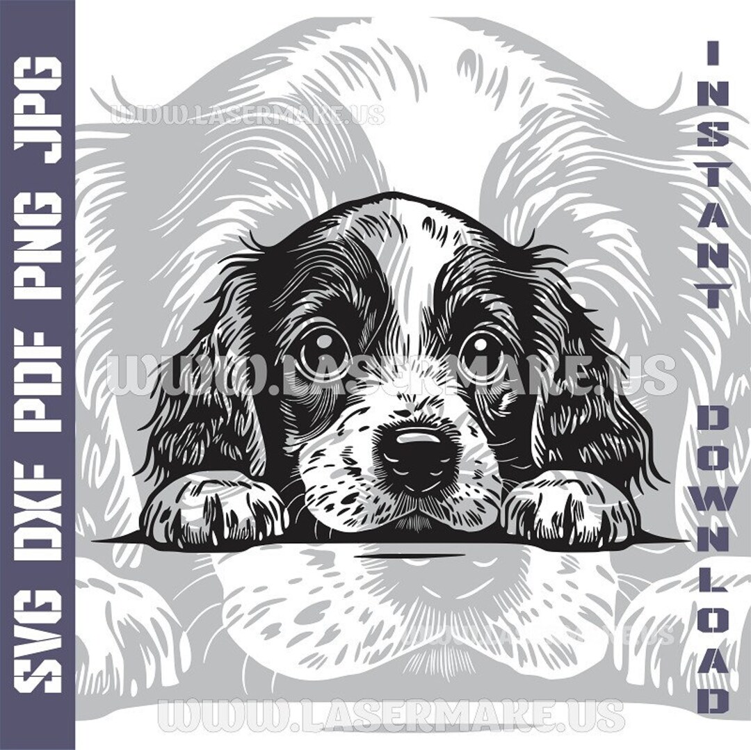 English Cocker Spaniel SVG File Cut File for Cricut Printable Png SVG ...