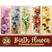 Birth Flower Printable Bookmarks PNG Bundle Floral Bookmark Nature ...