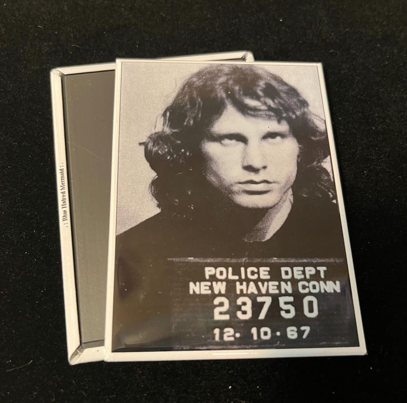 Celebrity Mugshot Set B Kitchen Magnet - Etsy