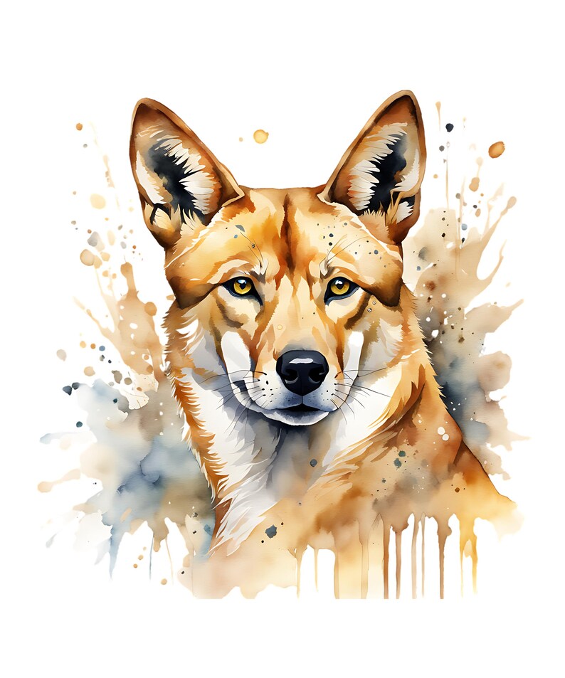 Watercolor Dog Clipart, Dingo Clipart, Wild Dog Clipart, Dingo PNG ...