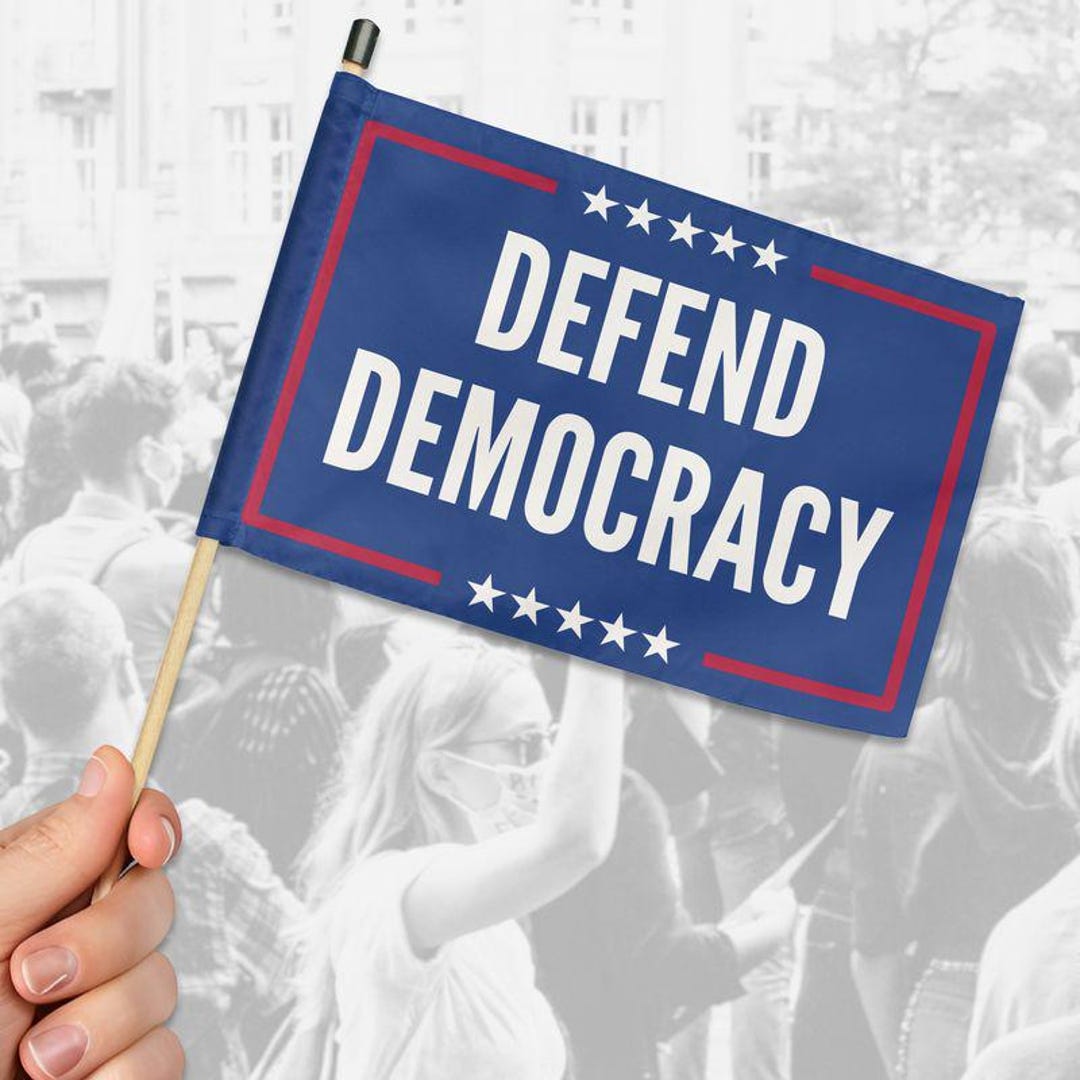 Defend Democracy Flag DOUBLE SIDED Hand Flag Political Statement Flag ...