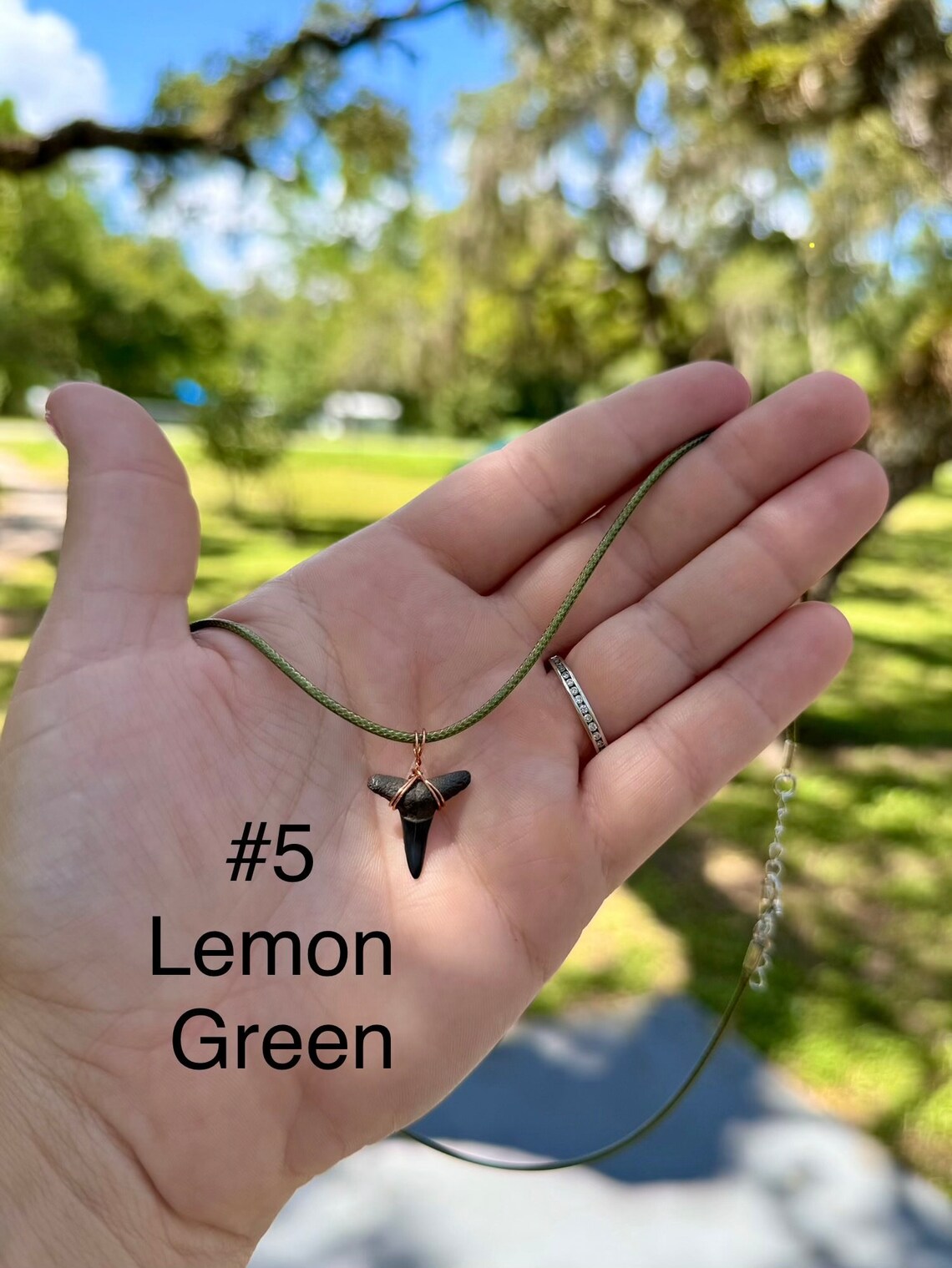 Wire Wrapped Corded Shark Tooth Necklace - Etsy