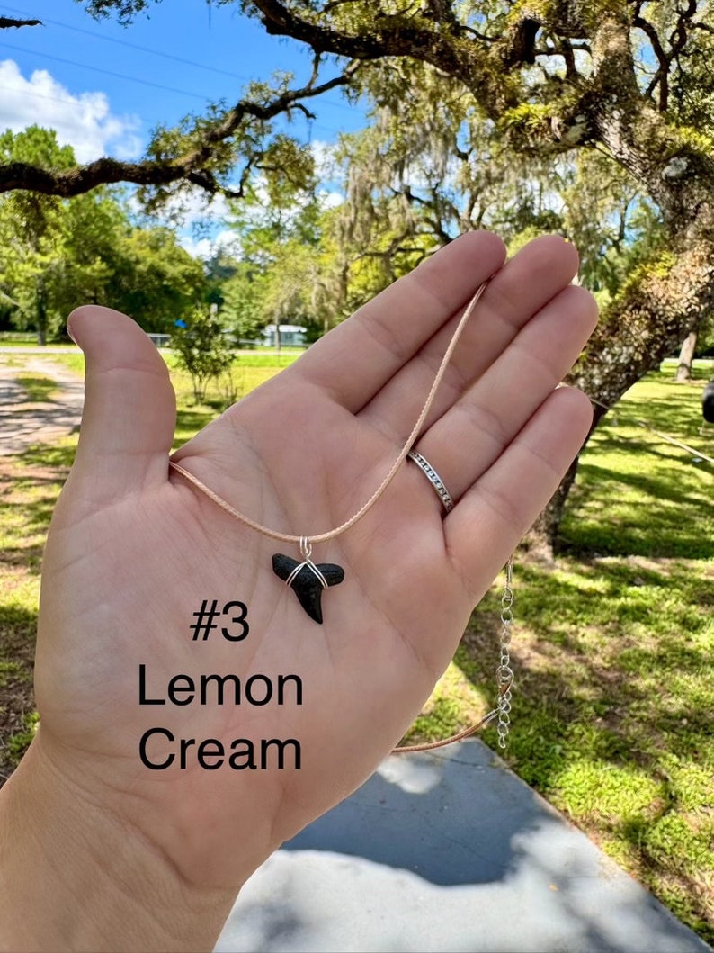 Wire Wrapped Corded Shark Tooth Necklace - Etsy