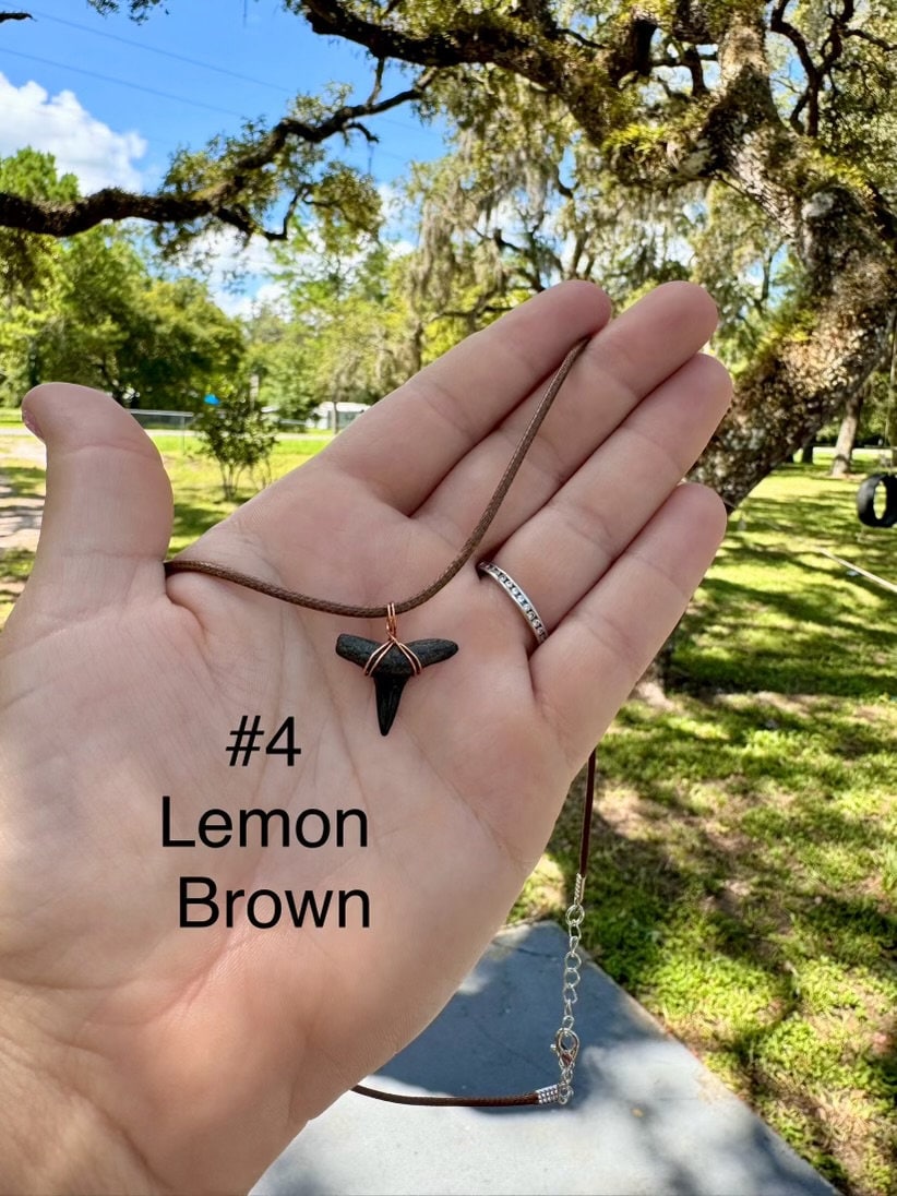 Wire Wrapped Corded Shark Tooth Necklace - Etsy