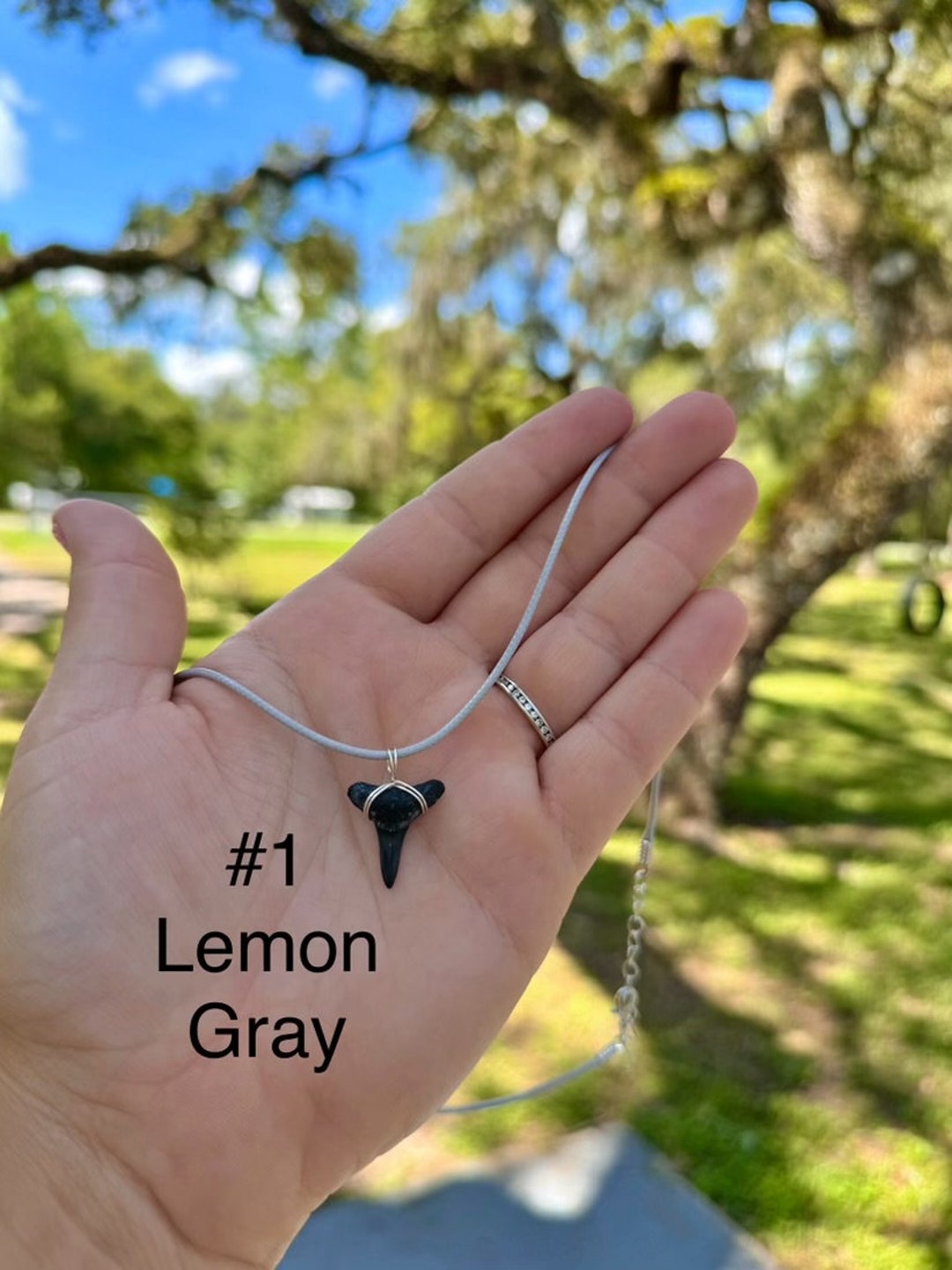 Wire Wrapped Corded Shark Tooth Necklace - Etsy