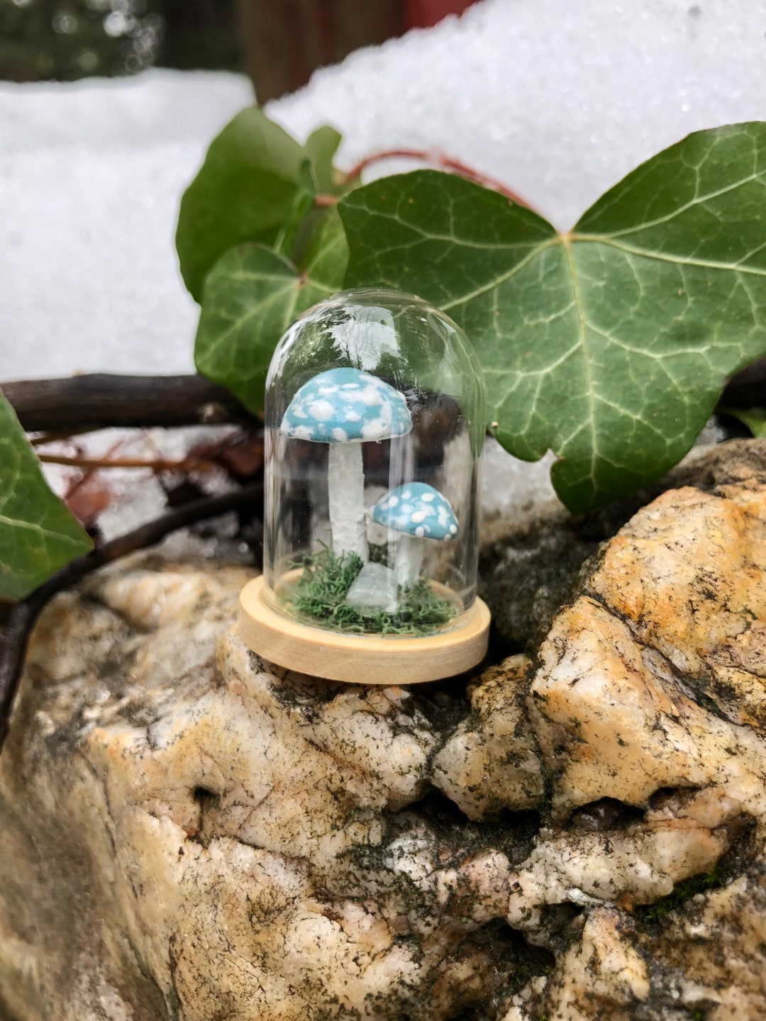 Handcrafted Mini Stropharia Mushroom Terrarium: Cottagecore Fairycore ...