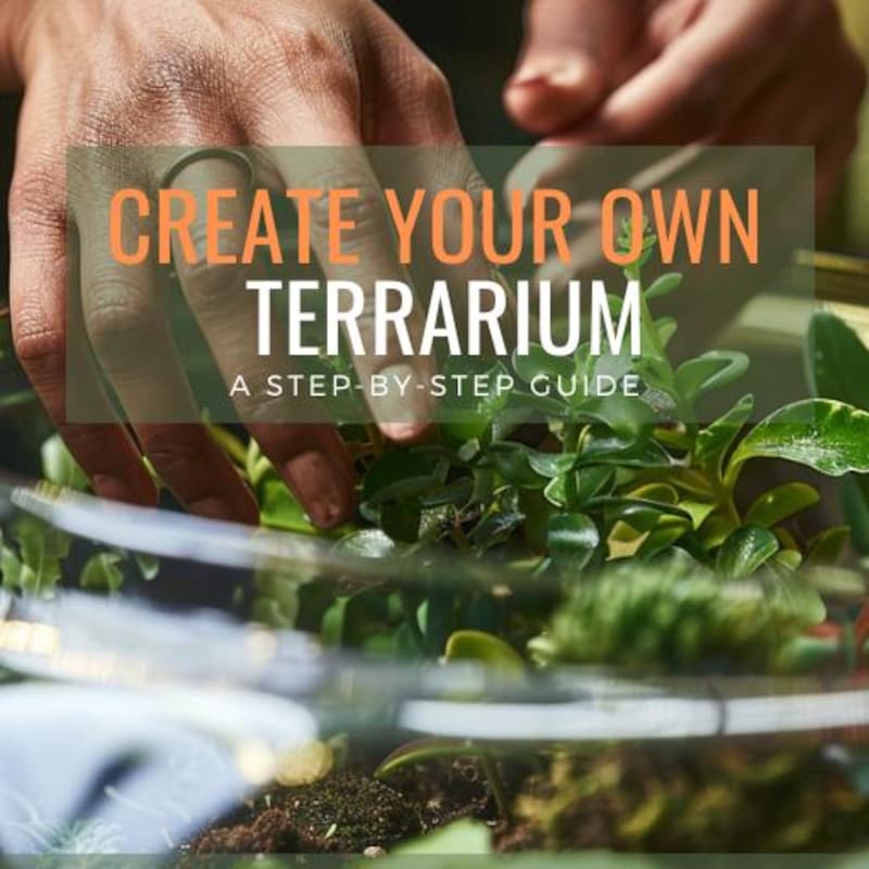 Make a Terrarium Kit - Etsy