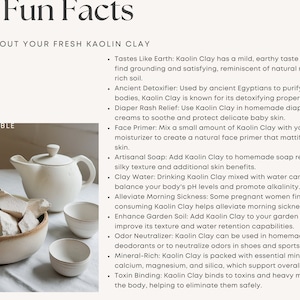 Georgia White Kaolin Clay: Edible Pica Clay for Wellness & Beauty (3 ...