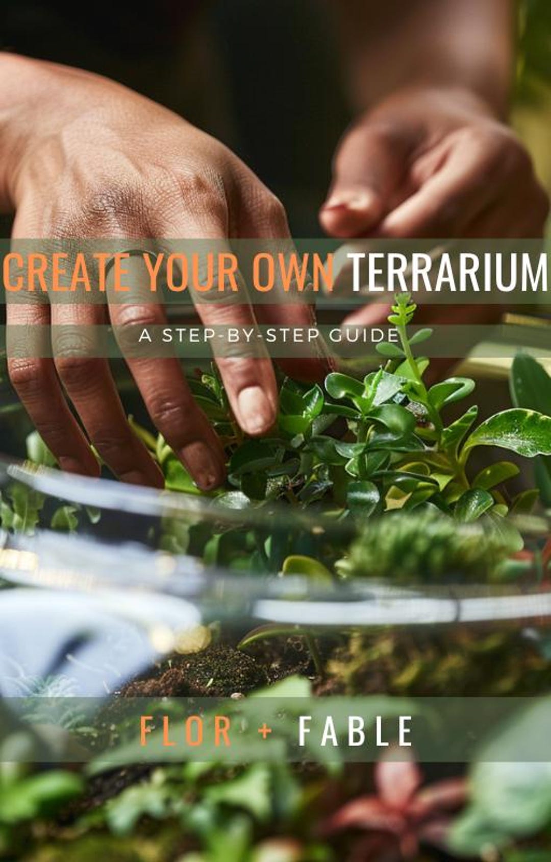 Create Your Own Terrarium: A Step-by-step Guide - Ebook - Digital Download - Etsy