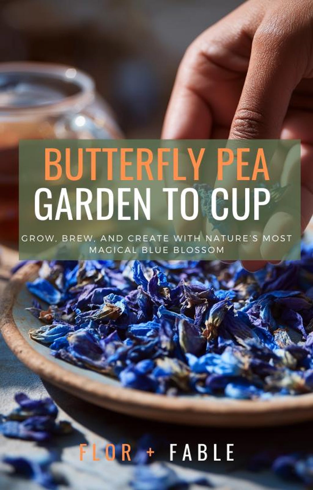 Butterfly Pea Flower Guide | Grow, Brew & Create With the Magical Blue ...
