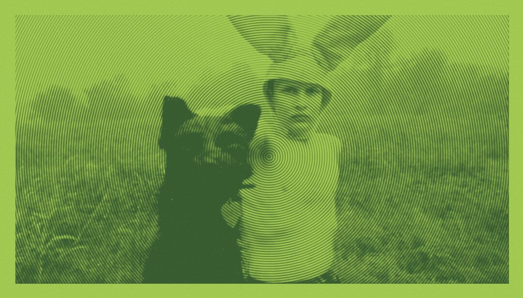 Gummo Bunny Boy Cat Poster PDF Digital Print - Etsy