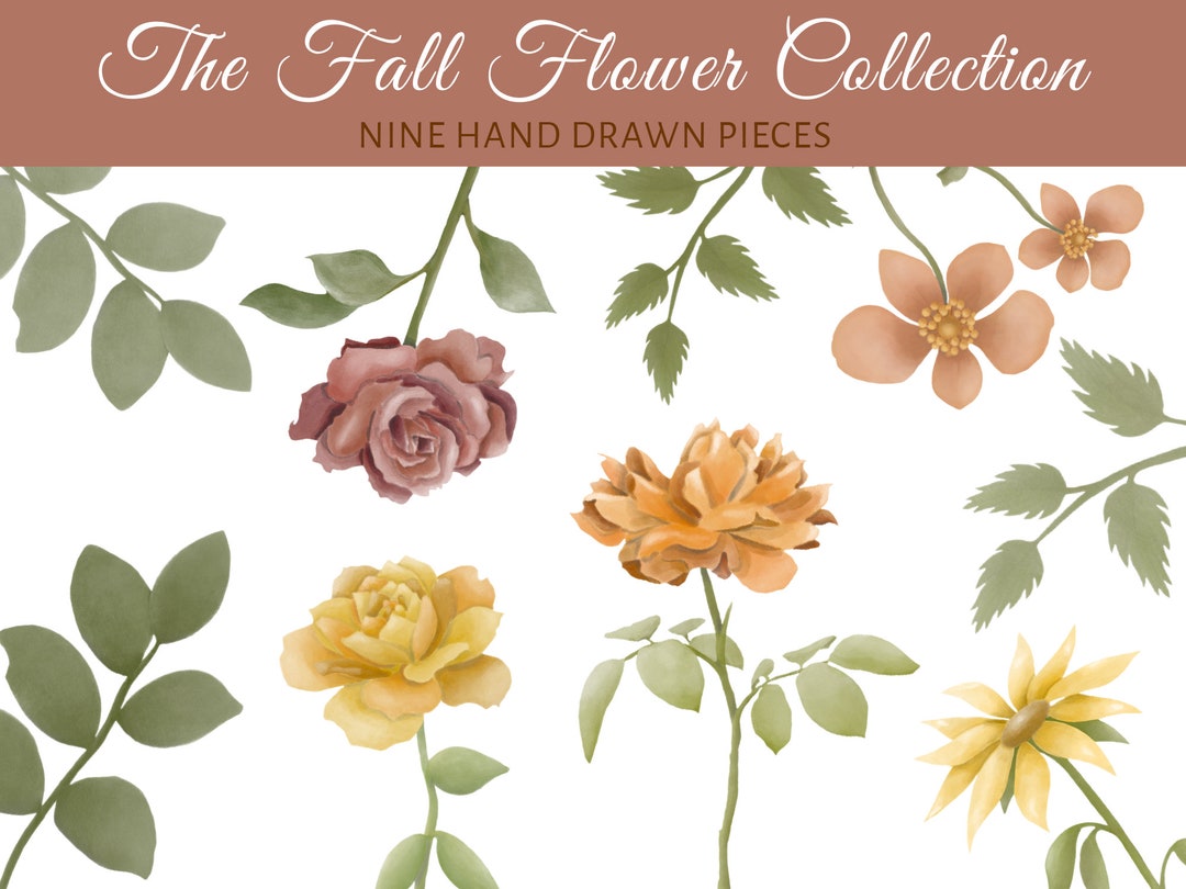 The Fall Flower Collection - Hand Drawn High Resolution PNG Download - Etsy
