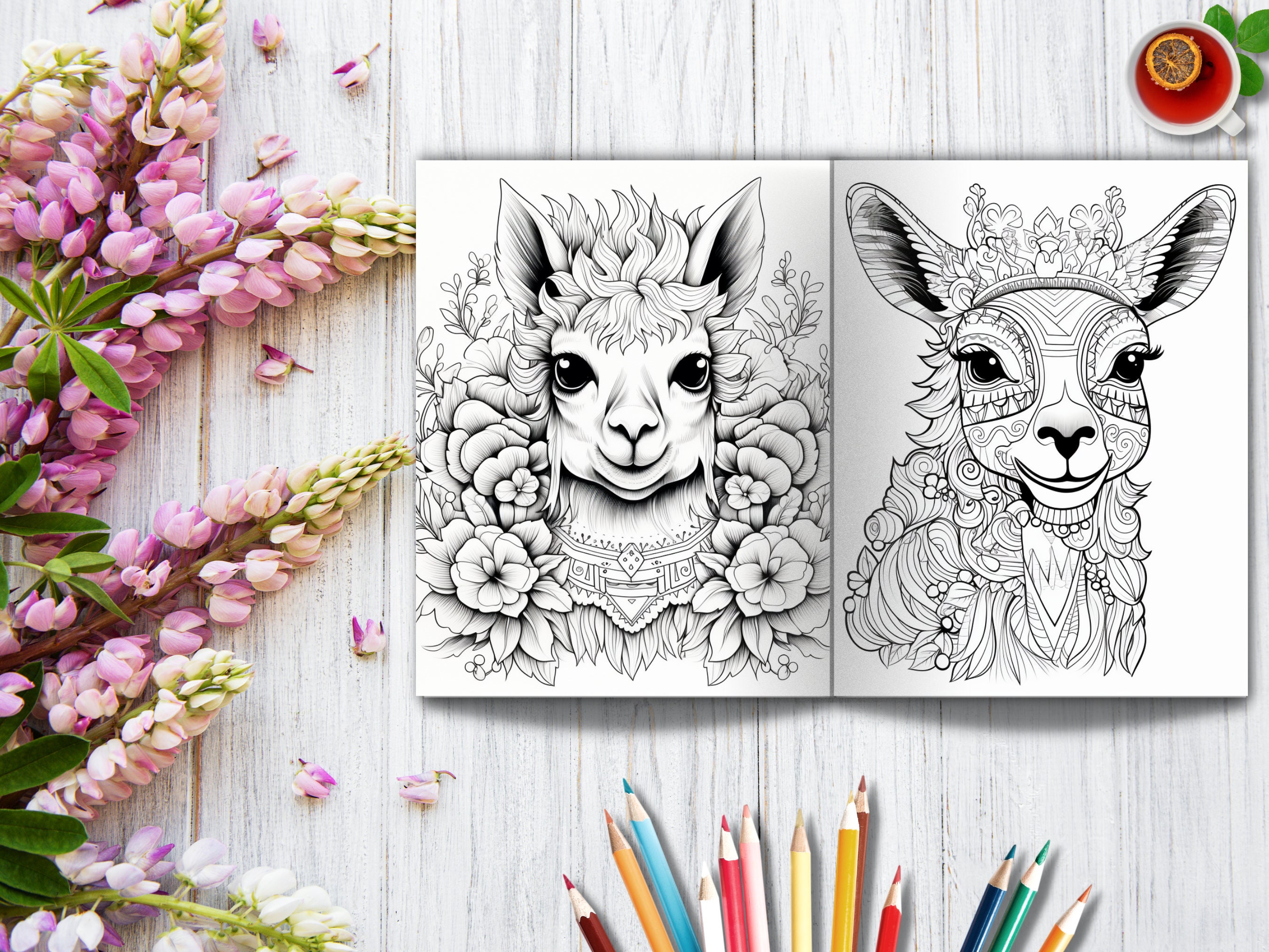 20 Cute Llamas Coloring Pages Digital Download - Etsy