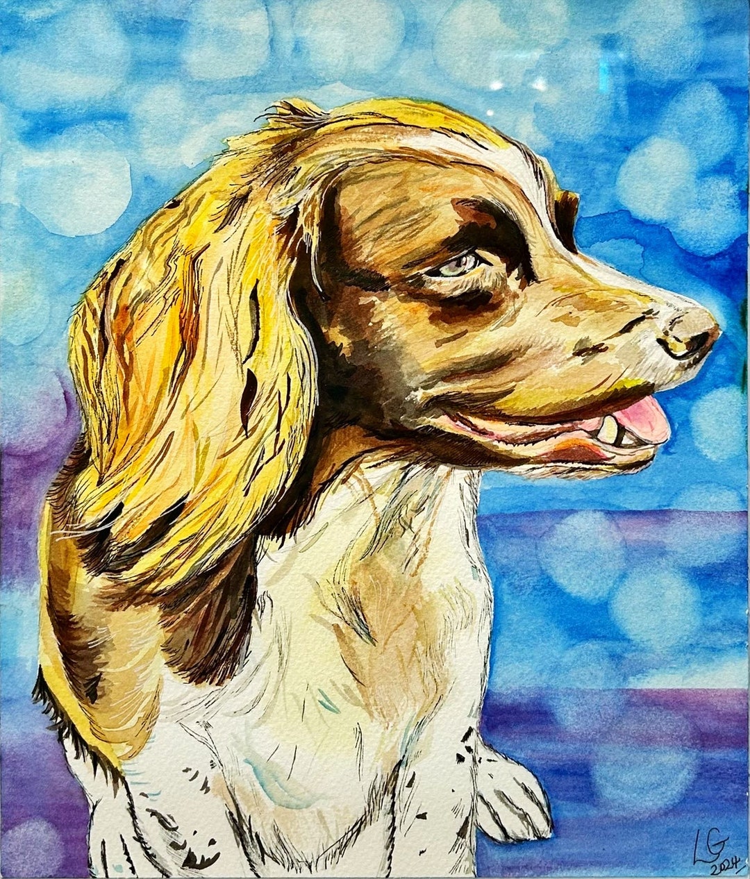 Springer Spaniel Watercolor Print by Laura Gillespie, Fife Artist - Etsy