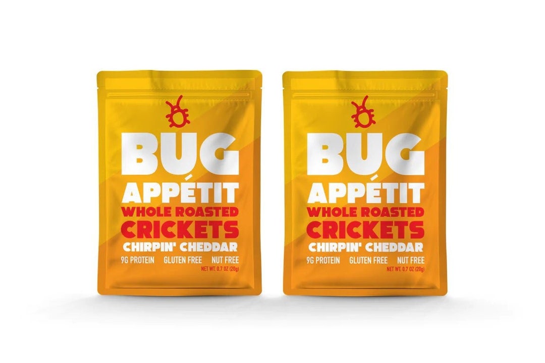 Chirpin' Cheddar Cricket Snack Pack - Etsy