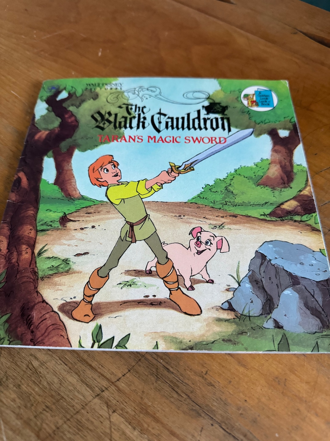 Disney’s the Black Cauldron:taran’s Magic Sword - Etsy