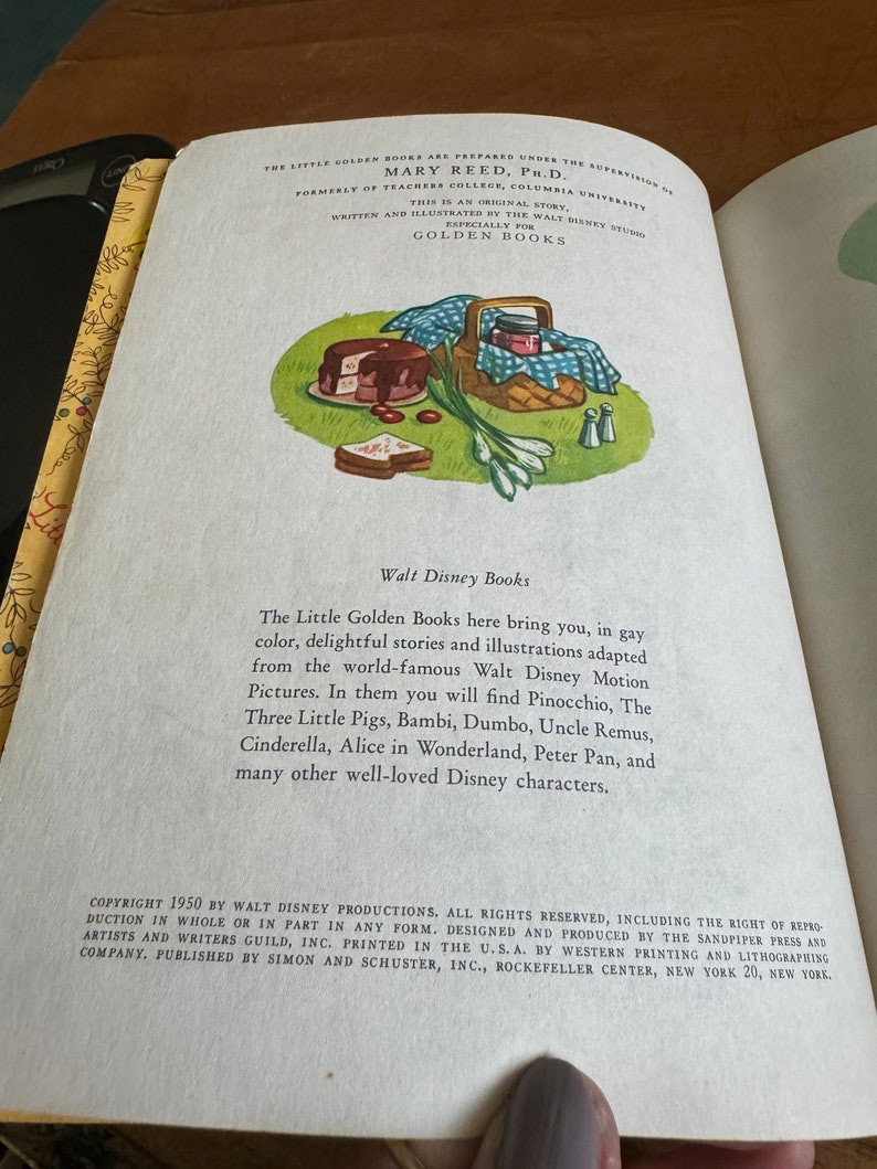 Walt Disneys Mickey Mouses Picnic - Etsy