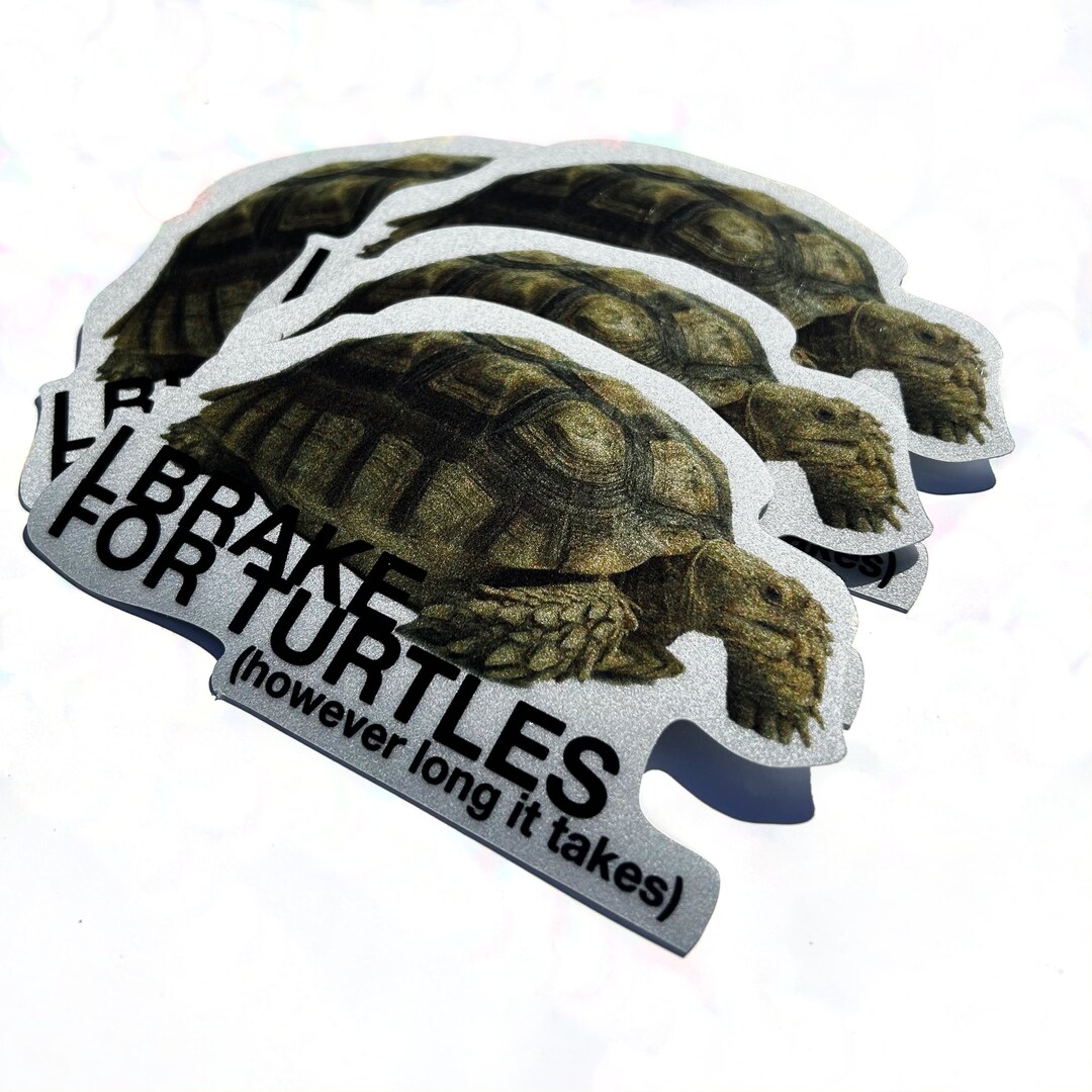 Reflective Brake for Turtles Bumper Sticker - Etsy