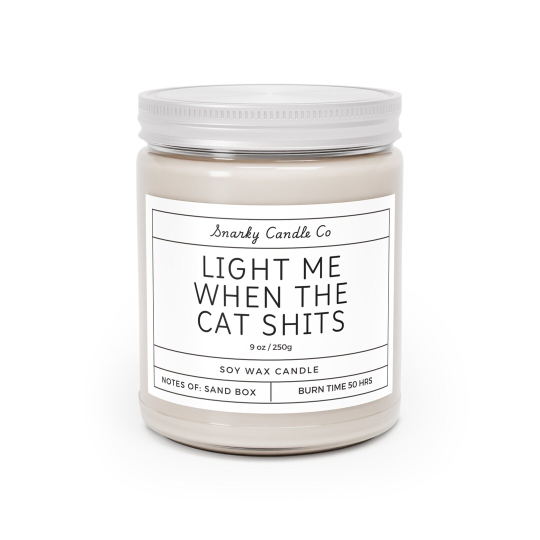 Snarky Cat Lover Candle, Funny Scented Candle, 9oz Gift - Etsy