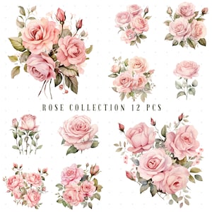 Pink Blush Rose Clipart | Watercolor Clipart | Flower Clipart - Etsy
