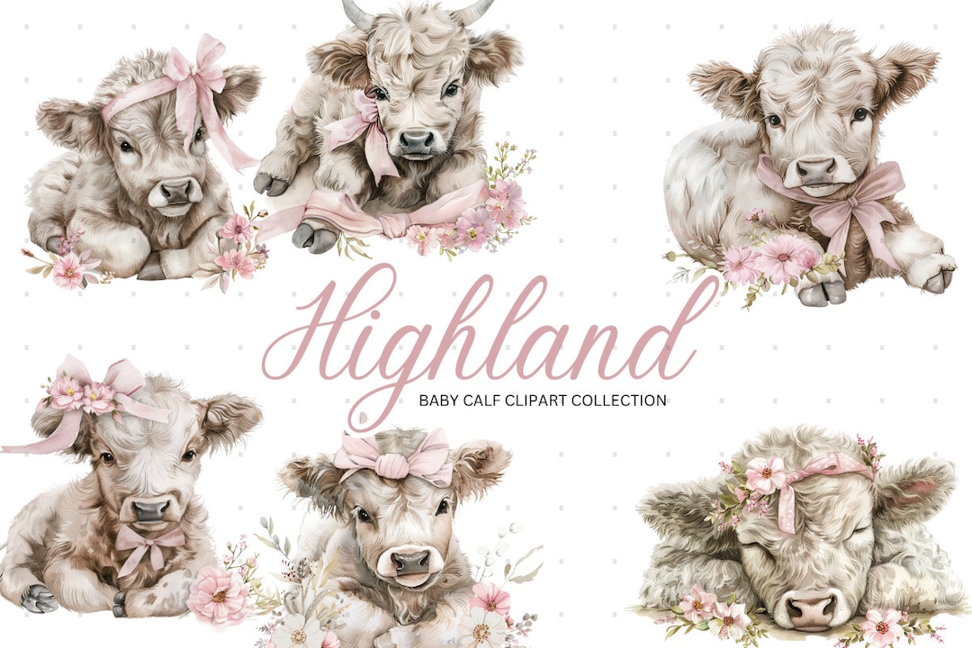 Baby Highland Cow Clipart | Coquette Pink Bows | Highland Cow - Etsy