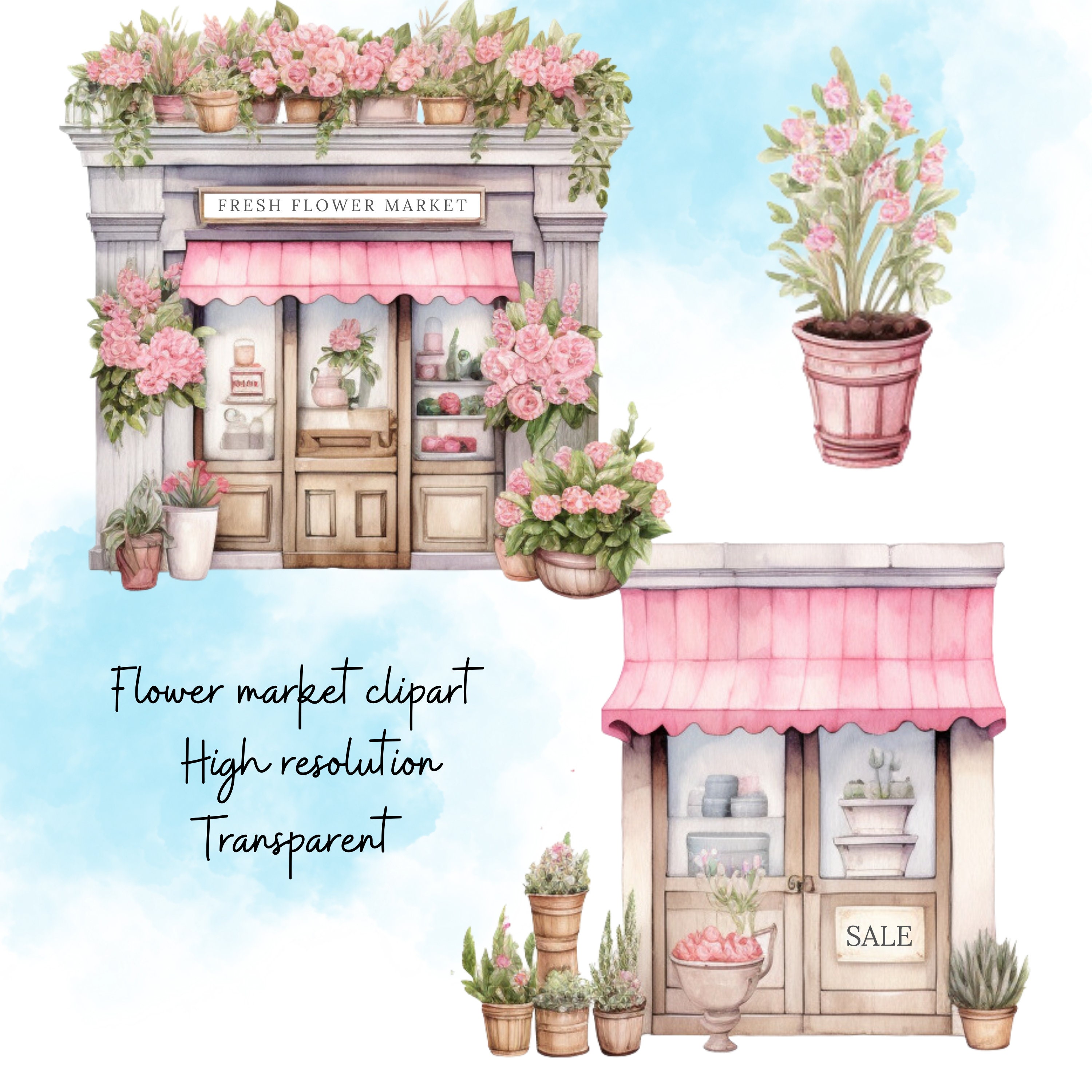 Flower Shop Clipart | Spring Flower PNG | Flower Market PNG - Etsy