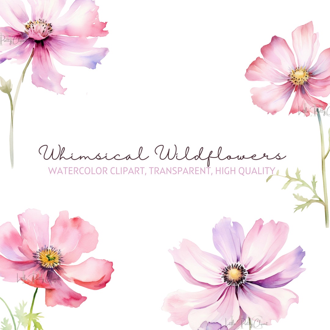 Whimsical Wildflowers Clipart Watercolor Flower Spring Clipart - Etsy
