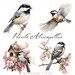 Chickadee Clipart | Bird Clipart | Chickadee Watercolor - Etsy