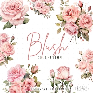Pink Blush Rose Clipart | Watercolor Clipart | Flower Clipart - Etsy