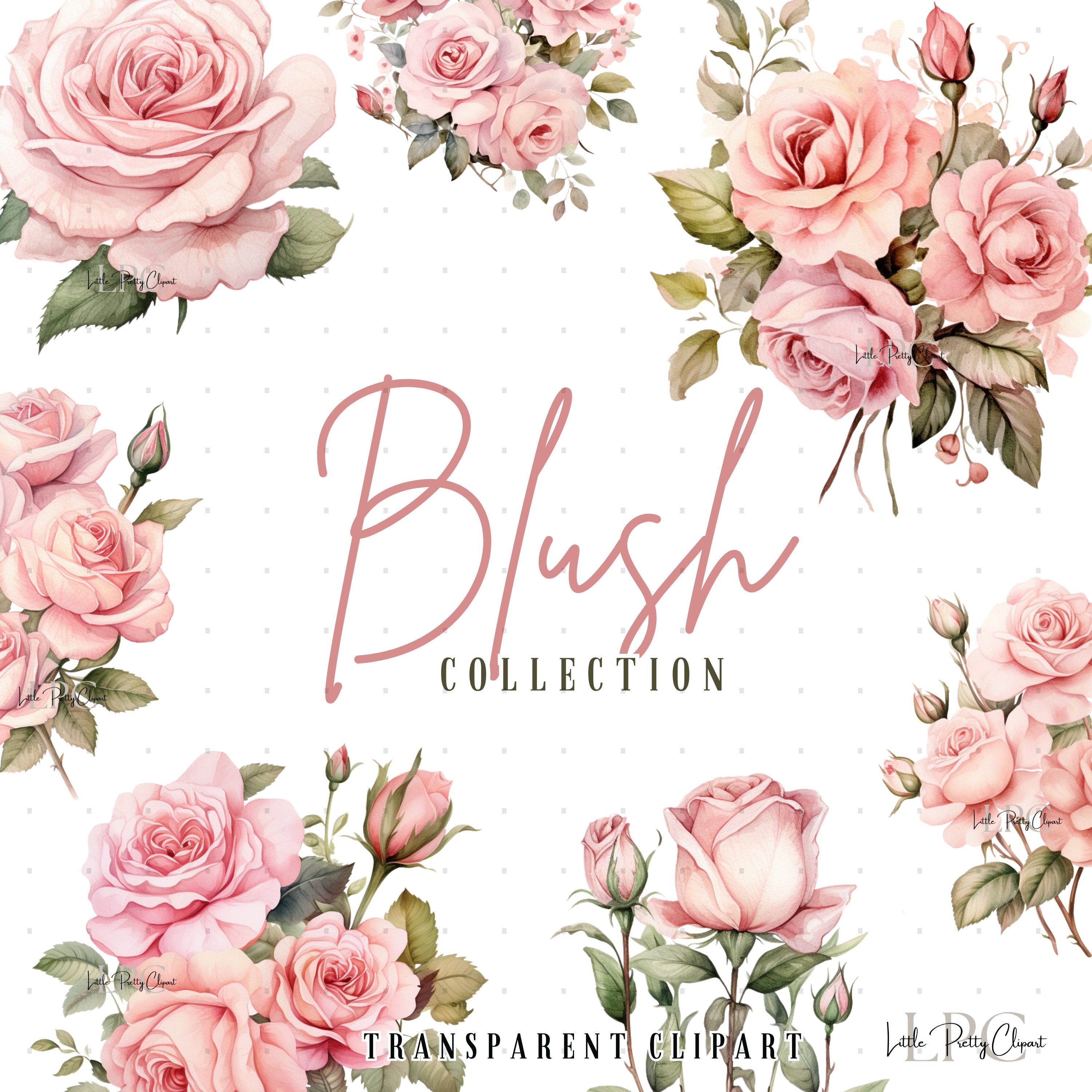 Pink Blush Rose Clipart | Watercolor Clipart | Flower Clipart - Etsy