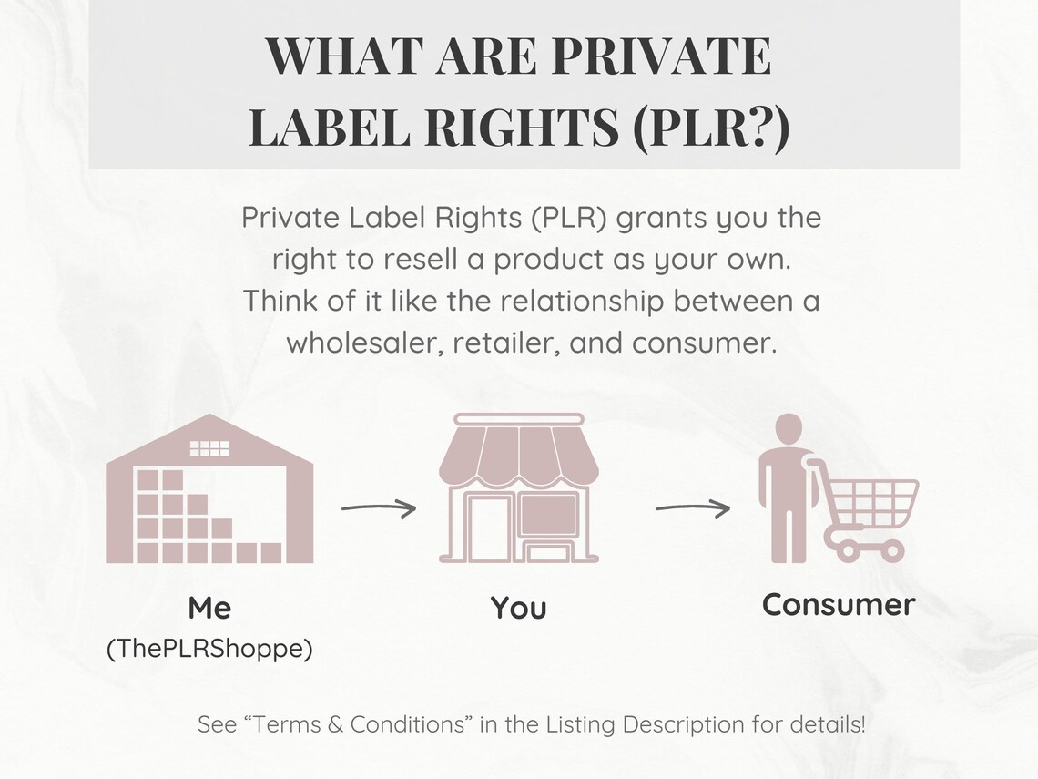 PLR Digital Products Bundle Done for You PLR Ebook Bundle Canva ...