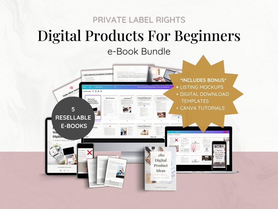 PLR Digital Products Bundle | Done for You PLR Ebook Bundle | Canva ...