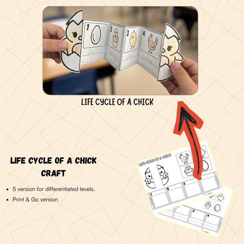 Adopt a Chick Classroom Craft | Spring Life Cycle Writing Activities (B ...
