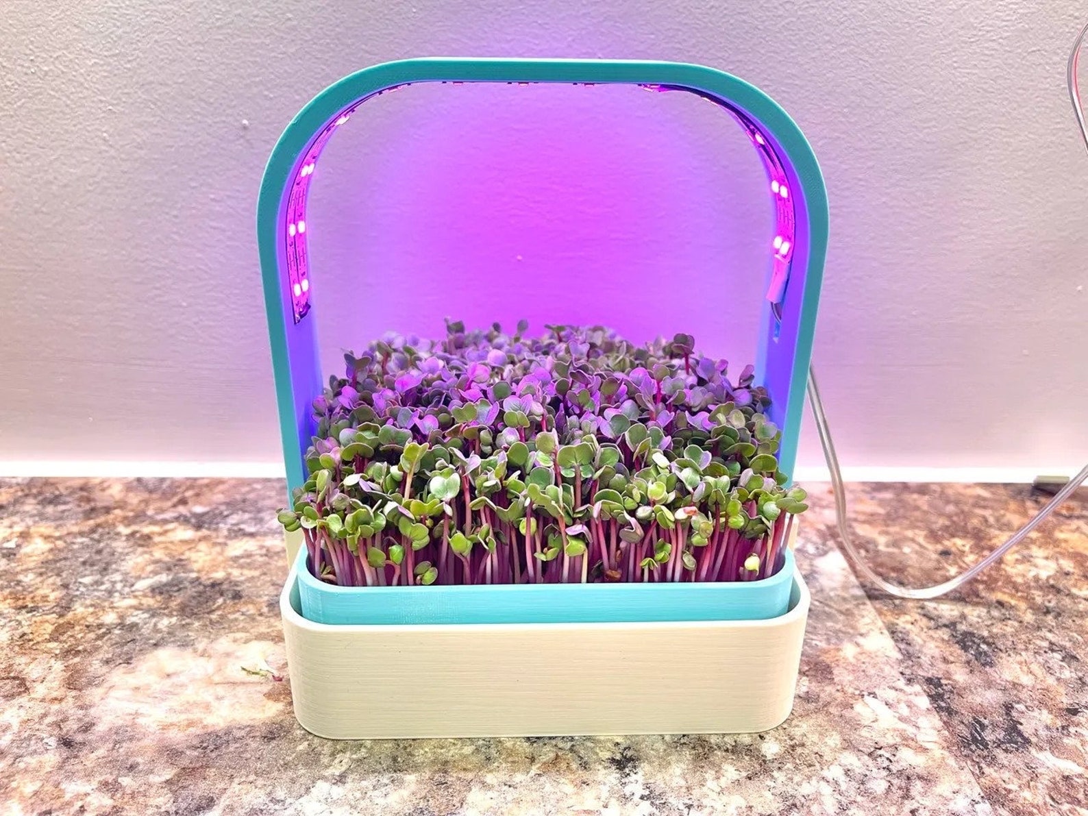 Handcrafted Microgreens Grow Stand - Space Saving Urban Garden Shelf ...