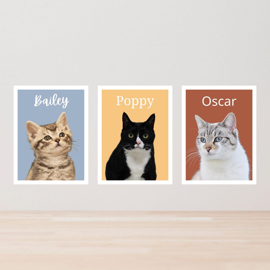 Custom Portraits Using Pet Photo Personalized Digital Cat Portraits Pet ...