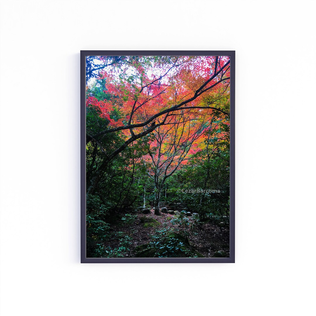 Miyajima Island, Hiroshima, Japan Fall Photograph - Etsy