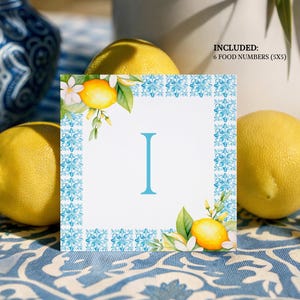 Lemonade Baby Shower Game Bundle, Citrus Baby Shower Activities, Summer ...