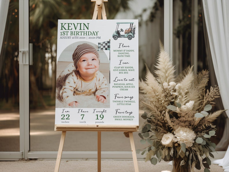 Golf 1st Birthday Milestone, Hole in One Milestone Board, Golf Themed ...