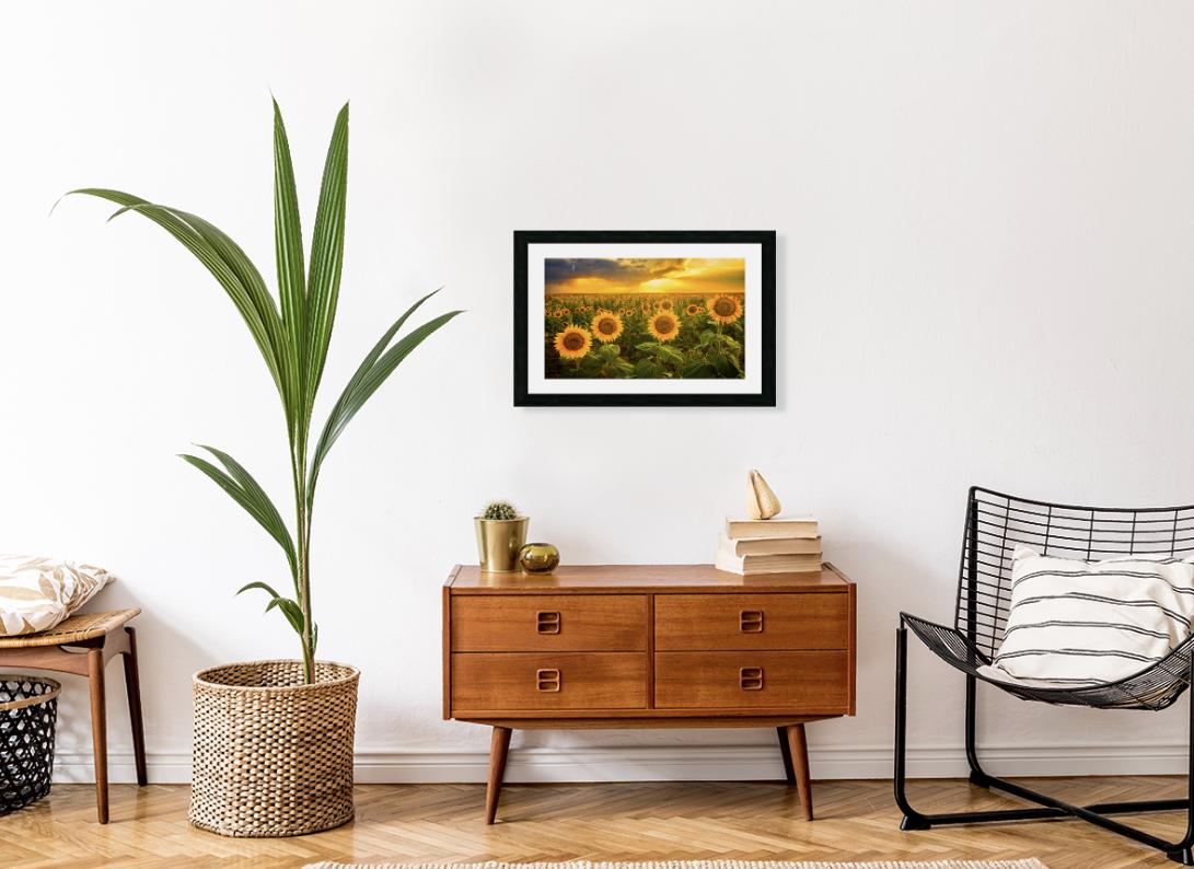 Vibrant Sunflower Field at Sunset, Sunflower Decor, Sunflower Print ...