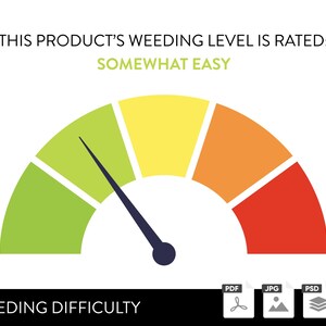 Powder Puff Football 2024 SVG DIY Powder Puff Football Shirt Cricut Cut ...