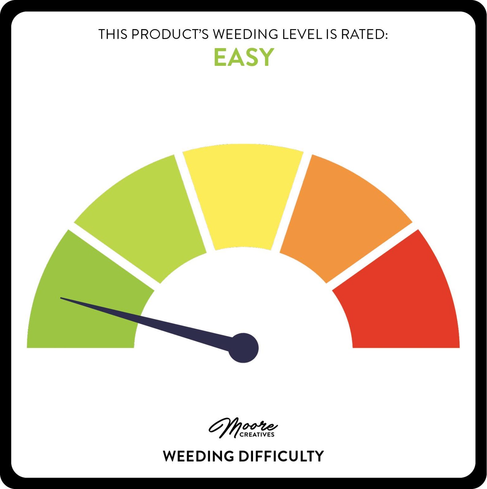 Prom 2025 SVG Clipart DIY Prom Shirt Instant Download Cricut Cut File ...