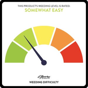 Class of 2015 SVG Cricut Cut File for Class Reunion of 2015 DIY Vinyl ...