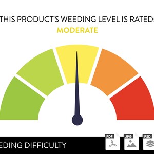 Fourth Wing Riders Quadrant Wingleader SVG Fourth Wing Birthday Party ...