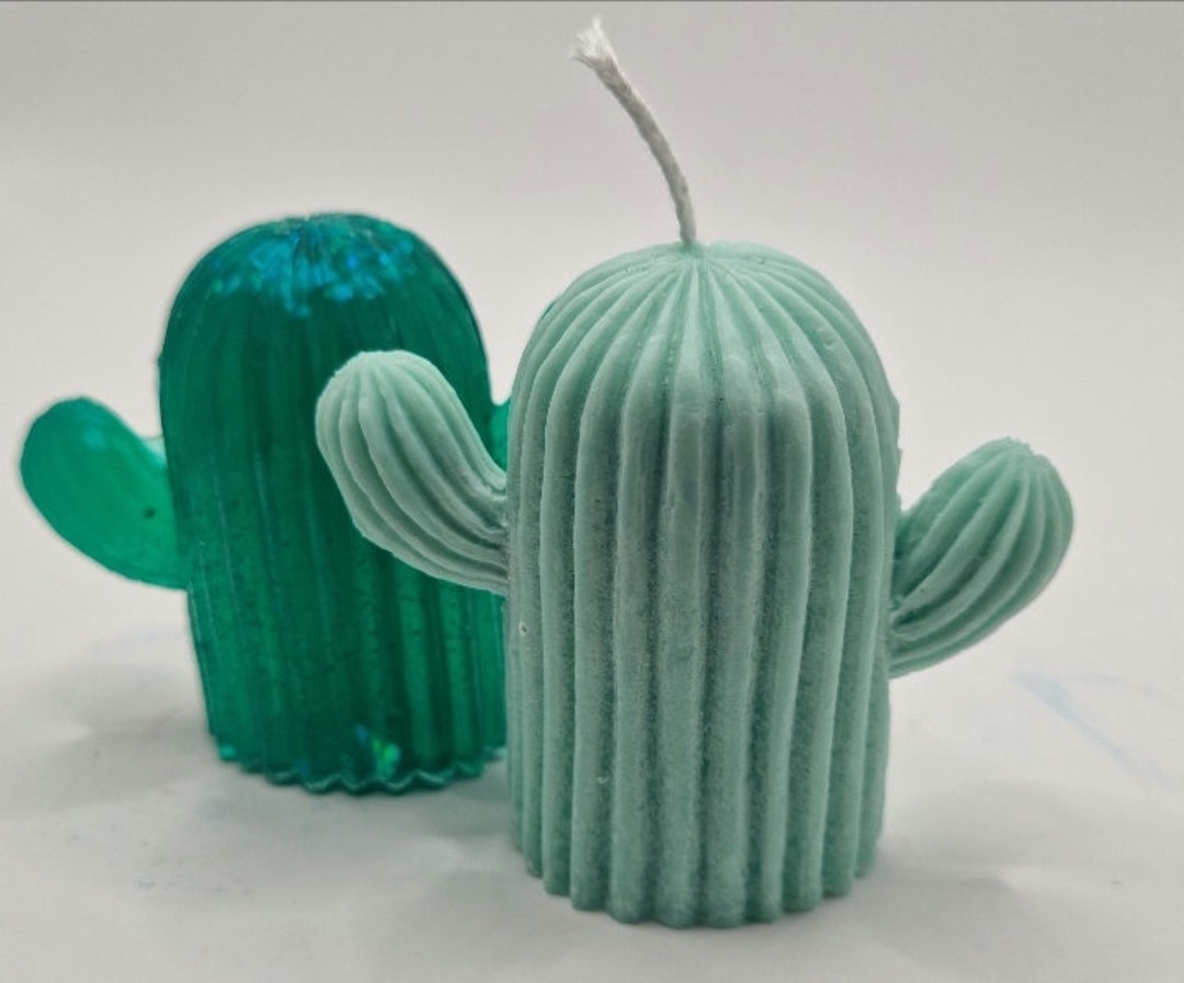 2 Cactus Candles/wax Cacti/plants/decor/gift/strange Candles/particular ...