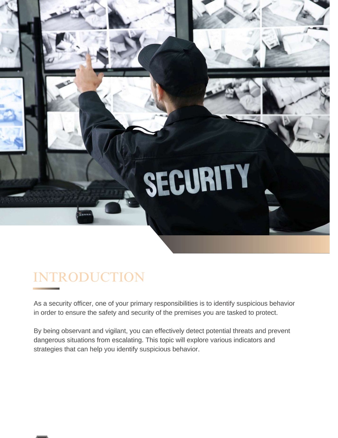 Security Officer's Guide to Dealing With Suspicious Persons - Etsy